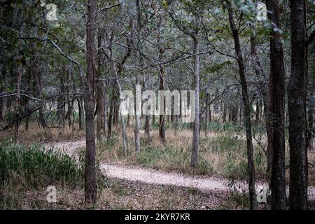 Historical scenes from Central Texas Stock Photo - Alamy