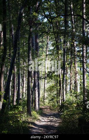 Scenes of nature from Central Texas Stock Photo - Alamy