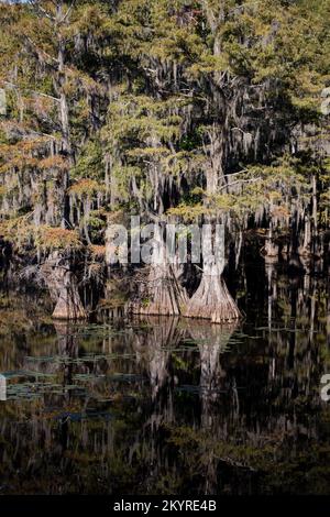 Scenes of nature from Central Texas Stock Photo - Alamy