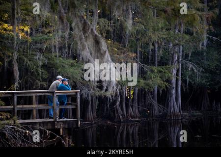 Scenes of nature from Central Texas Stock Photo - Alamy