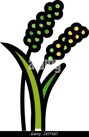 millet plant food color icon vector illustration Stock Vector Image ...