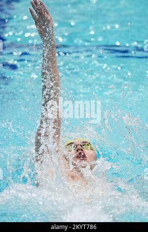 Tokyo, Japan. 2nd Dec, 2022. Hayato Watanabe Swimming : Japan Open 2022 ...