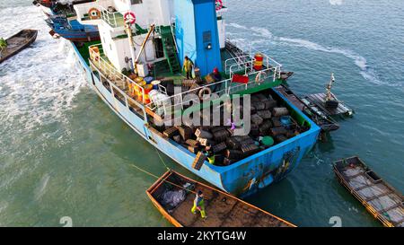 The busy scene in abalone area of a marine ranching in Rongcheng City ...