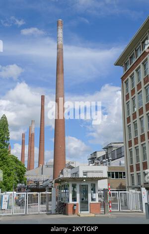 Schott AG, Hattenbergstraße, Mainz, Rheinland-Pfalz, Deutschland Stock ...