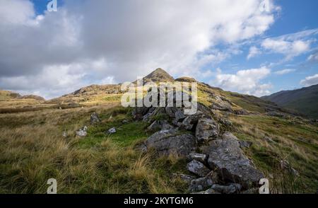 On route climbing Cnicht Mountain in the Snowdonia national park in ...