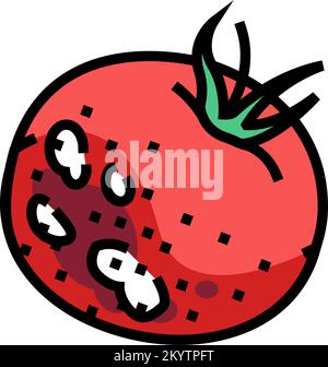 tomato rotten food color icon vector illustration Stock Vector Image ...