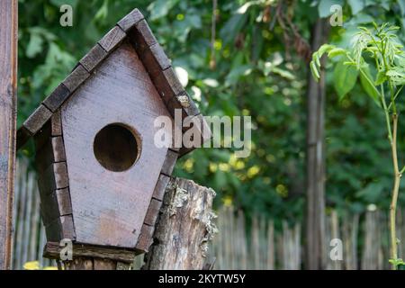 Hand made wooden shelter, bird house, placed on the tree in forest ...