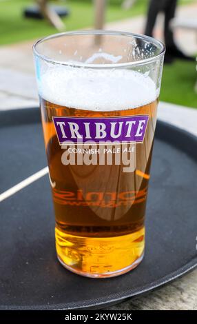 St Austell Brewery Cornwall Stock Photo - Alamy