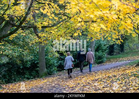 Northampton. UK. 2nd December, 2022. Autumnal colours and fallen leaves ...