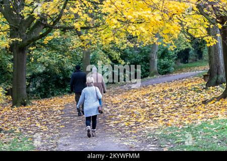 Northampton. UK. 2nd December, 2022. Autumnal colours and fallen leaves ...