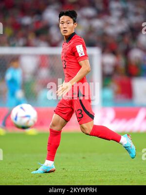 South Korea's Son Jun-ho and Kim Young-gwon during the FIFA World Cup ...