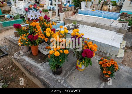 A grave in the Xochimilco Cemetery decorated for the Day of the Dead or ...