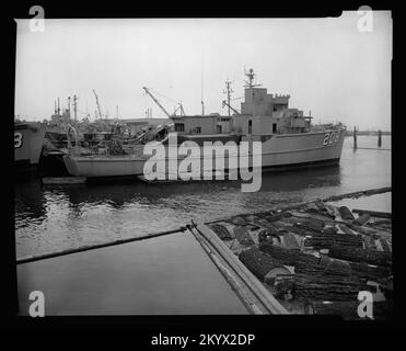 AMS-205 , Ships, Naval Vessels, Boats, Naval History, Navy Stock Photo ...