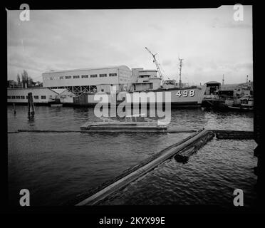 AM-498 , Ships, Naval Vessels, Boats, Naval History, Navy Stock Photo ...