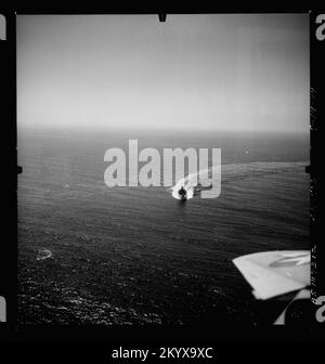 AM-466 Prime , Ships, Naval Vessels, Boats, Naval History, Navy Stock ...