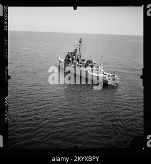 AM-424 Bold , Ships, Naval Vessels, Boats, Naval History, Navy Stock ...