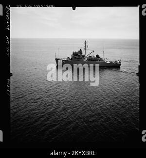 AM-424 Bold , Ships, Naval Vessels, Boats, Naval History, Navy Stock ...