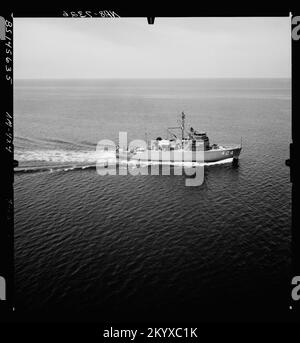 AM-424 Bold , Ships, Naval Vessels, Boats, Naval History, Navy Stock ...