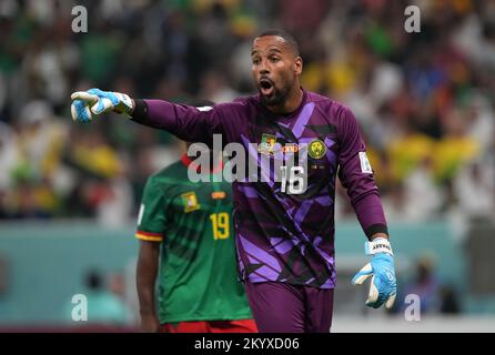 Cameroon goalkeeper Devis Epassy during the FIFA World Cup Group G ...