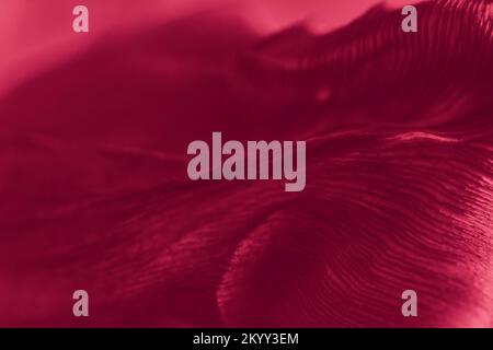 Red abstract background. Viva Magenta color, flower petals close-up ...