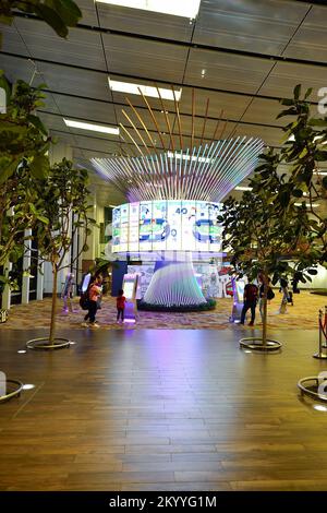 SINGAPORE - NOVEMBER 09, 2015: The Social Tree at Changi Airport. The ...