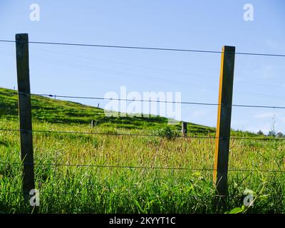 Rural background though wire fence in New Zealand Stock Photo - Alamy