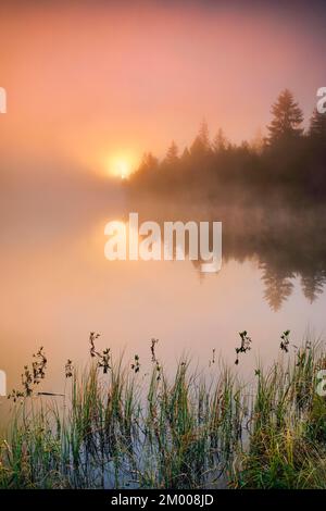 Sunrise over the mirror-smooth mire lake Étang de la Gruère in the ...