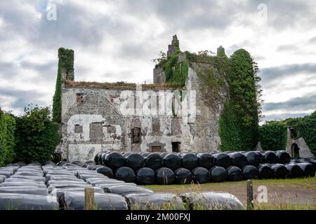 Deel castle, in Irish Caislean na Daoile, was built in the 16th century ...