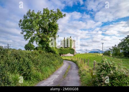 Deel castle, in Irish Caislean na Daoile, was built in the 16th century ...