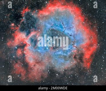 Rosette Nebula (Caldwell 49) and the open cluster NGC 2244 in ...