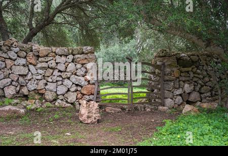 Typical menorcan wooden gate in dry stone wall, Menorca, Balearic ...
