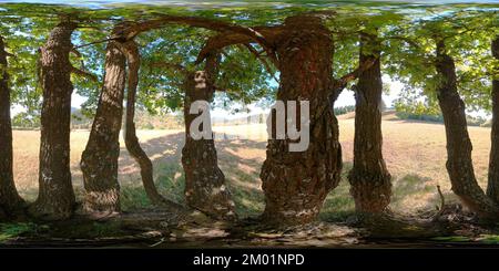 360° view of Get lost in the majestic beauty of Romania's untamed ...