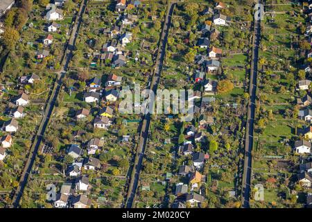 Aerial view, Höing allotment garden association, Ischeland allotment ...