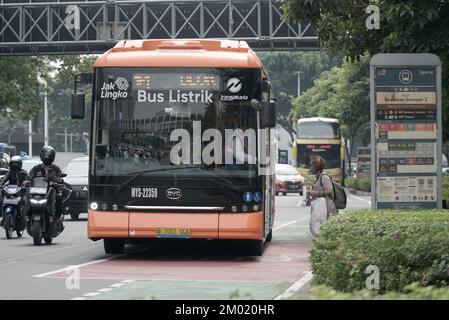 New Transportation vehicle, with no pollution, electric bus in main ...