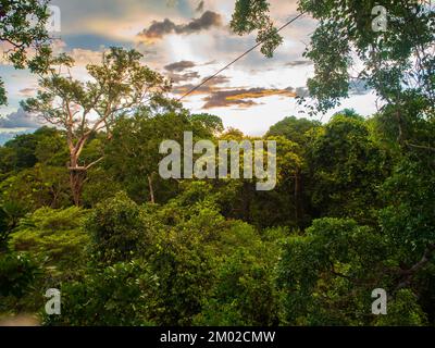 Amazonia, Peru. Top view of Amazon rainforest. View from the airplane ...
