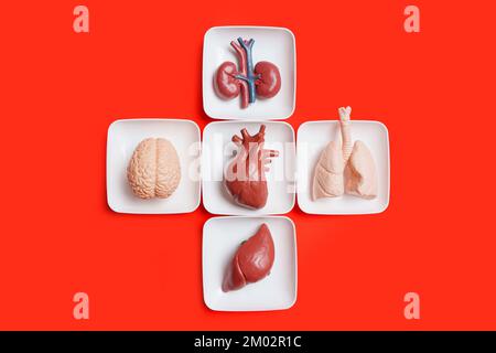 Creative organ donation topic related concept: toy human body organs ...