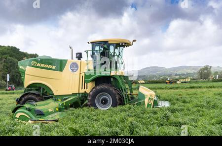 Krone Big M, a self propelled mower cutting grass in a meadow, Dumfries ...