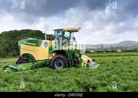 Krone Big M, a self propelled mower cutting grass in a meadow, Dumfries ...