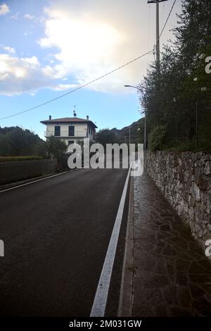 Main road bordered by olive tree plantations in late summer Stock Photo ...