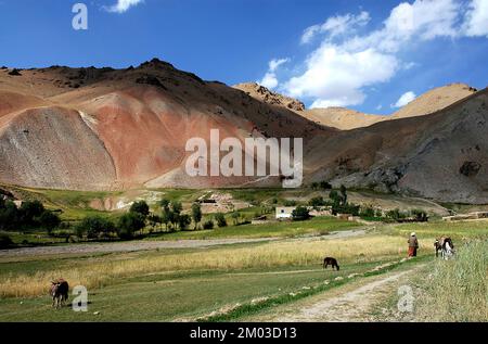 A small village between Chaghcharan and the Minaret of Jam, Ghor ...