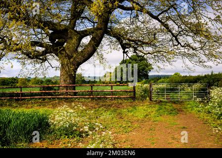 Cotswold National Landcape iwalking paths open to the public across ...