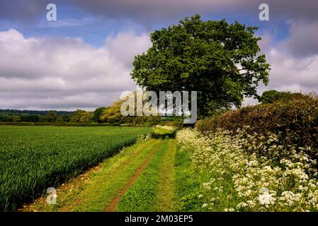 Cotswold National Landcape walking paths open to the public across ...