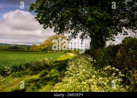 Cotswold National Landcape walking paths open to the public across ...