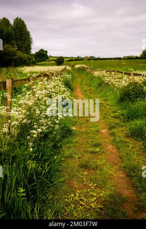 Cotswold National Landcape is a series of walking paths open to the ...