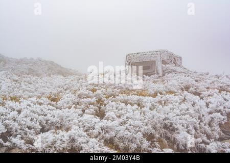Snowy landscape of the Hehuanshan mountain at Taiwan Stock Photo - Alamy