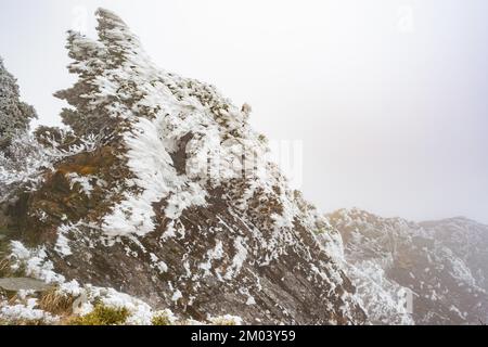 Snowy landscape of the Hehuanshan mountain at Taiwan Stock Photo - Alamy