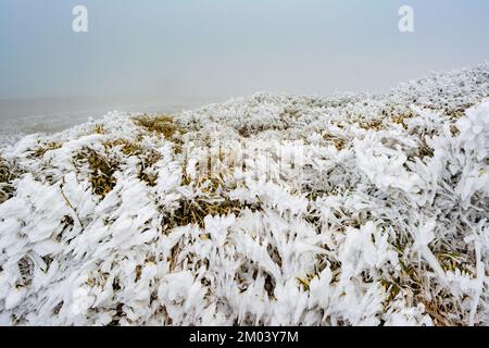 Snowy landscape of the Hehuanshan mountain at Taiwan Stock Photo - Alamy