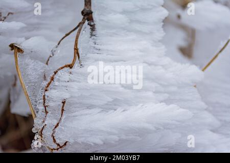 Snowy landscape of the Hehuanshan mountain at Taiwan Stock Photo - Alamy