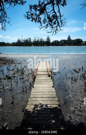 Jetty, Orewa Estuary, Auckland, North Island, New Zealand Stock Photo ...