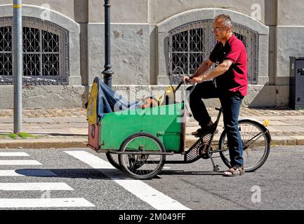 Danish man with dogs riding a cargo bike on a bike road in Copenhagen ...